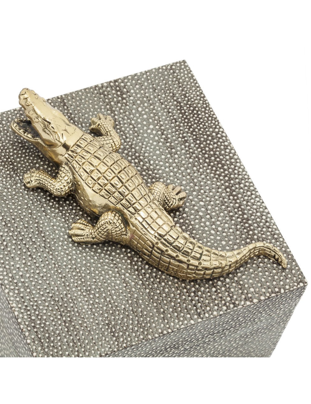 BOX KRIZIA CROCO SQUARE
